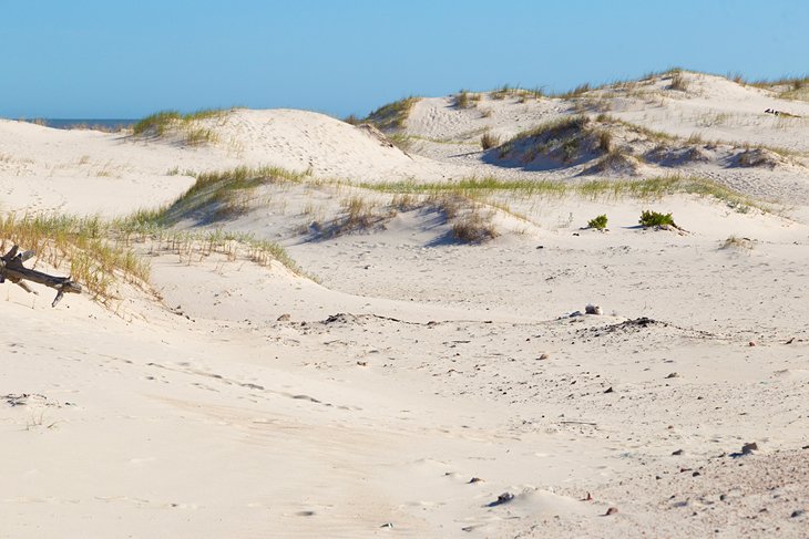 15 Best Beaches in Uruguay | PlanetWare - 开云体育官网登录平台下载安装