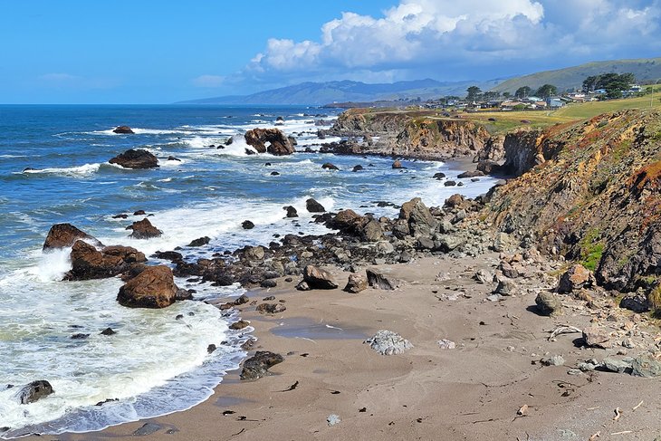 12 Best Beaches in Bodega Bay, CA | PlanetWare - 开云体育官网登录平台下载安装
