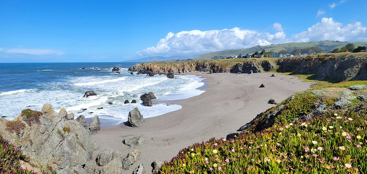12 Best Beaches in Bodega Bay, CA | PlanetWare - 开云体育官网登录平台下载安装