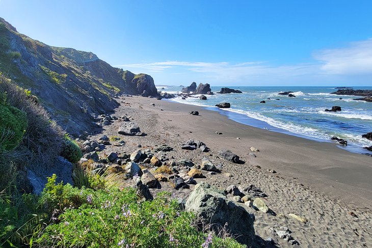 12 Best Beaches in Bodega Bay, CA | PlanetWare - 开云体育官网登录平台下载安装