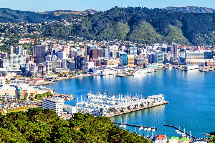 15 Top-Rated Tourist Attractions in Wellington | PlanetWare - 开云体育官网登录 ...